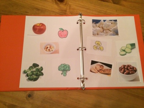 Haga un Libro Ilustrado o un Póster Sobre Alimentos – Online Parent ...